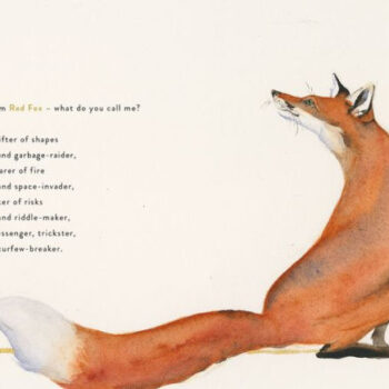 The Lost Spells - The Poetry Bookshop